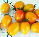 Tomato Varieties at Echter's